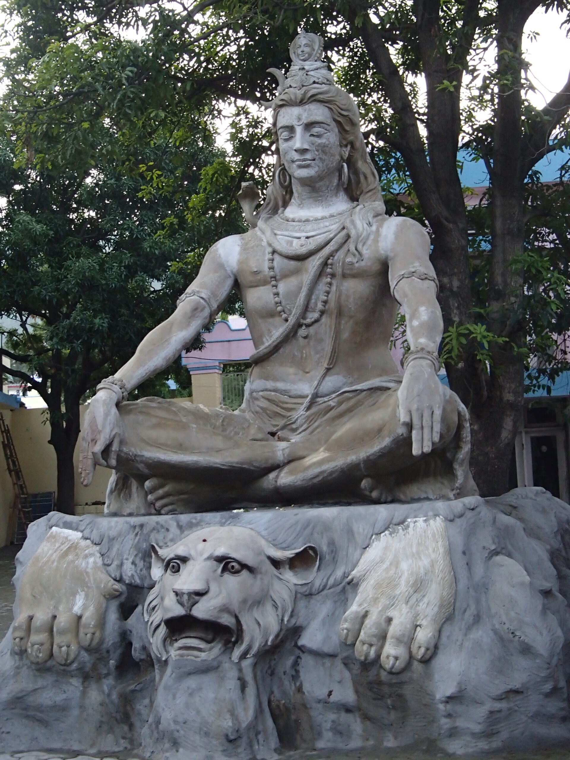 Descubre y conoce los Yoga Sutras de Patanjali - Objetivo Despertar